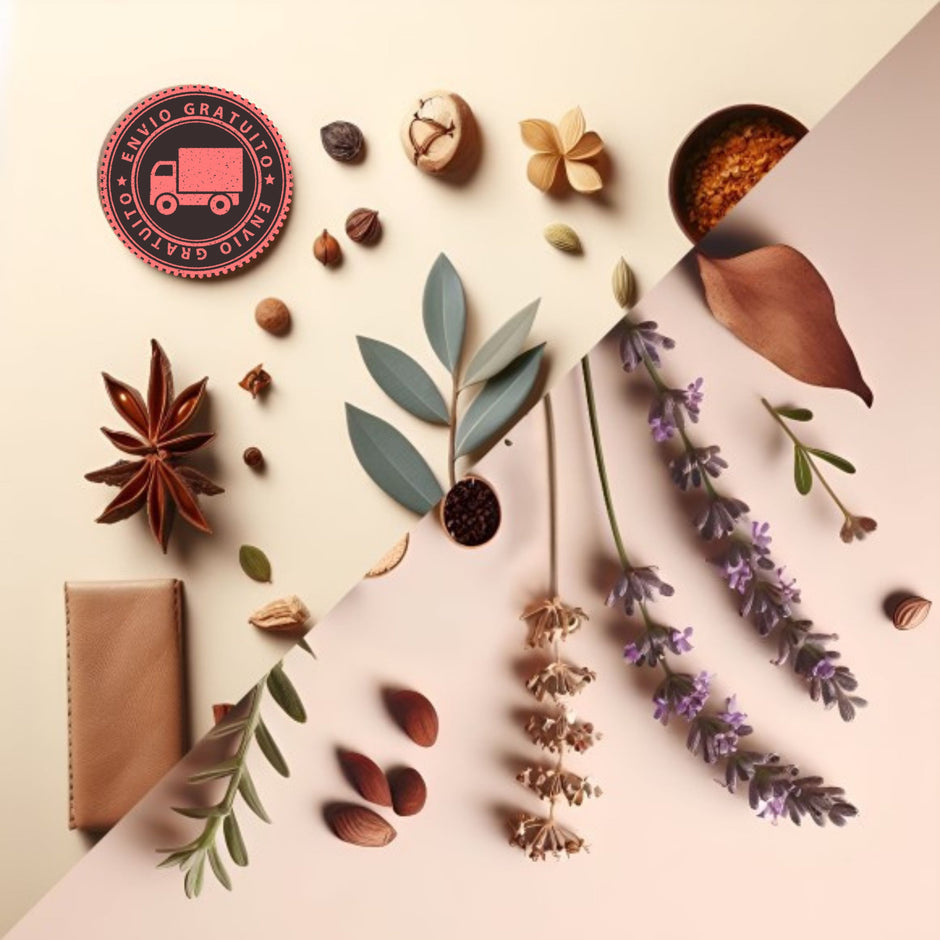 Moscca | Fragancias Universales Finas – Mosccamx