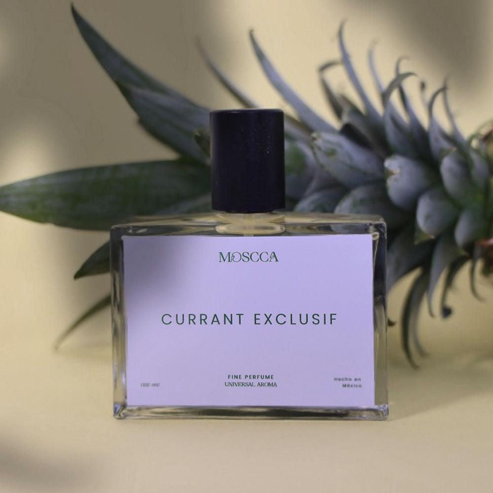 Moscca | Fragancias Universales Finas – Mosccamx