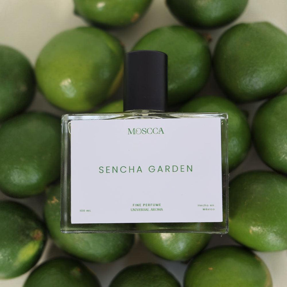 Moscca | Fragancias Universales Finas – Mosccamx