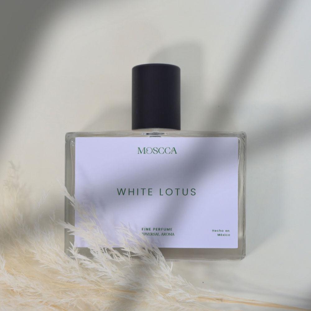Moscca | Fragancias Universales Finas – Mosccamx